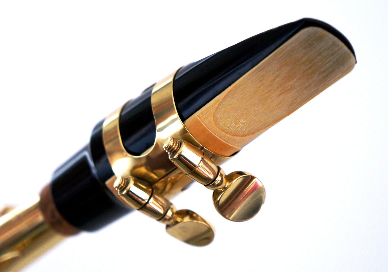 All About Saxophone Reeds and Reed Brands